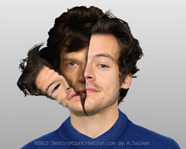 Harry Styles: Secret Behind the Style – Destination Creation